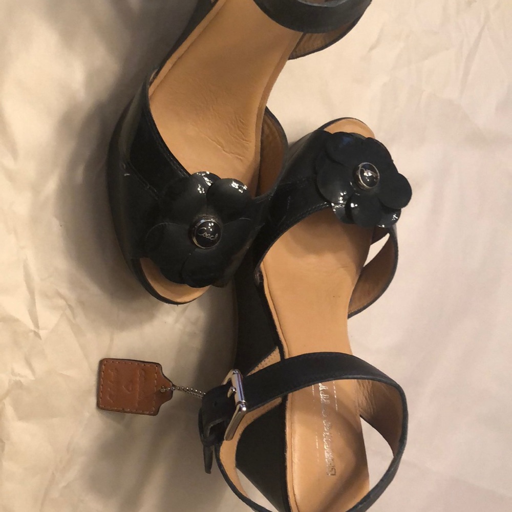Coach Poppy Navy Platform Sandals - Gem